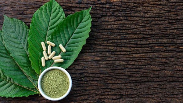 What is Kratom and What Are Its Benefits? - Miami Distro